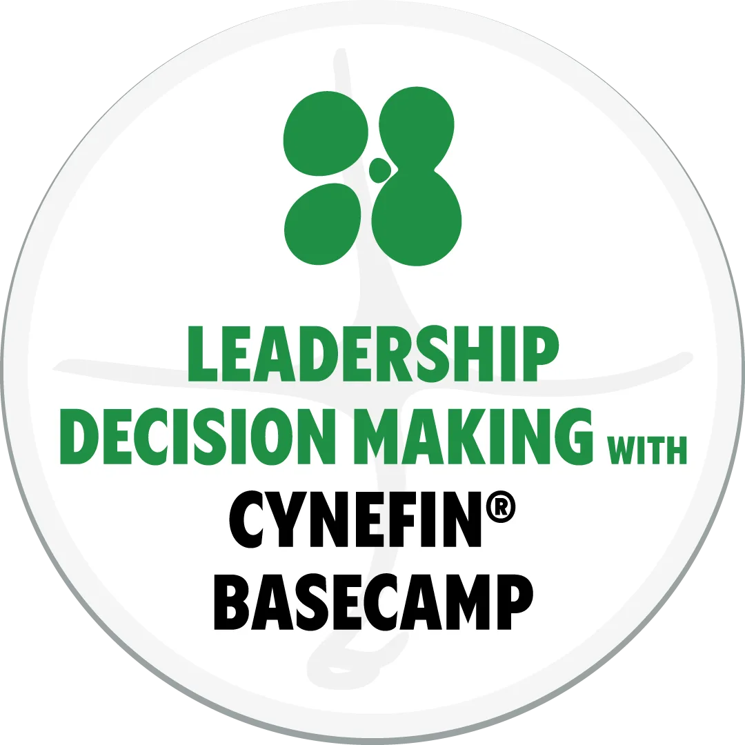 Leadership Decision Making with Cynefin® Basecamp | Improvee